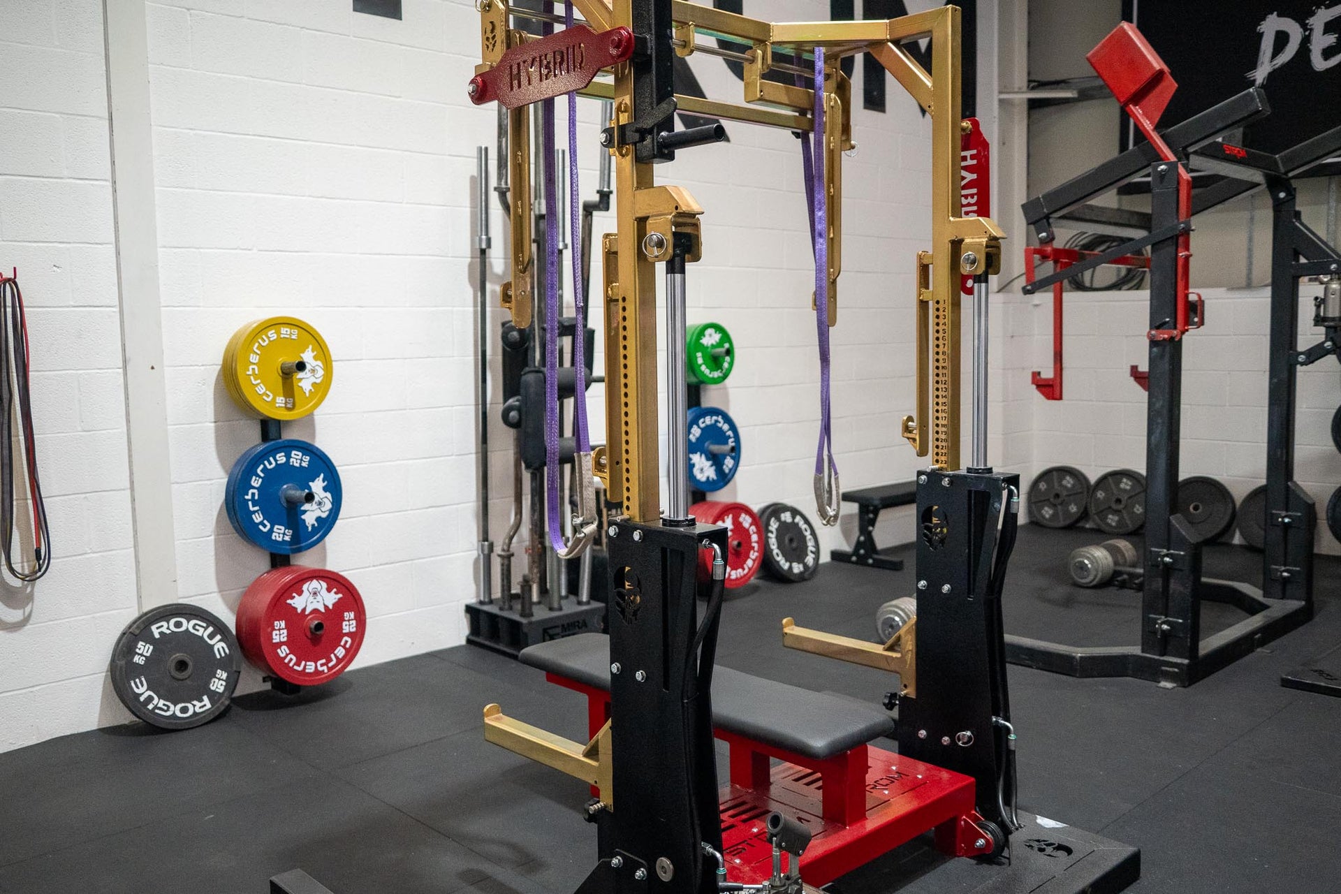 STROM Elite Sports Performance Centre – Strom Sports Nutrition